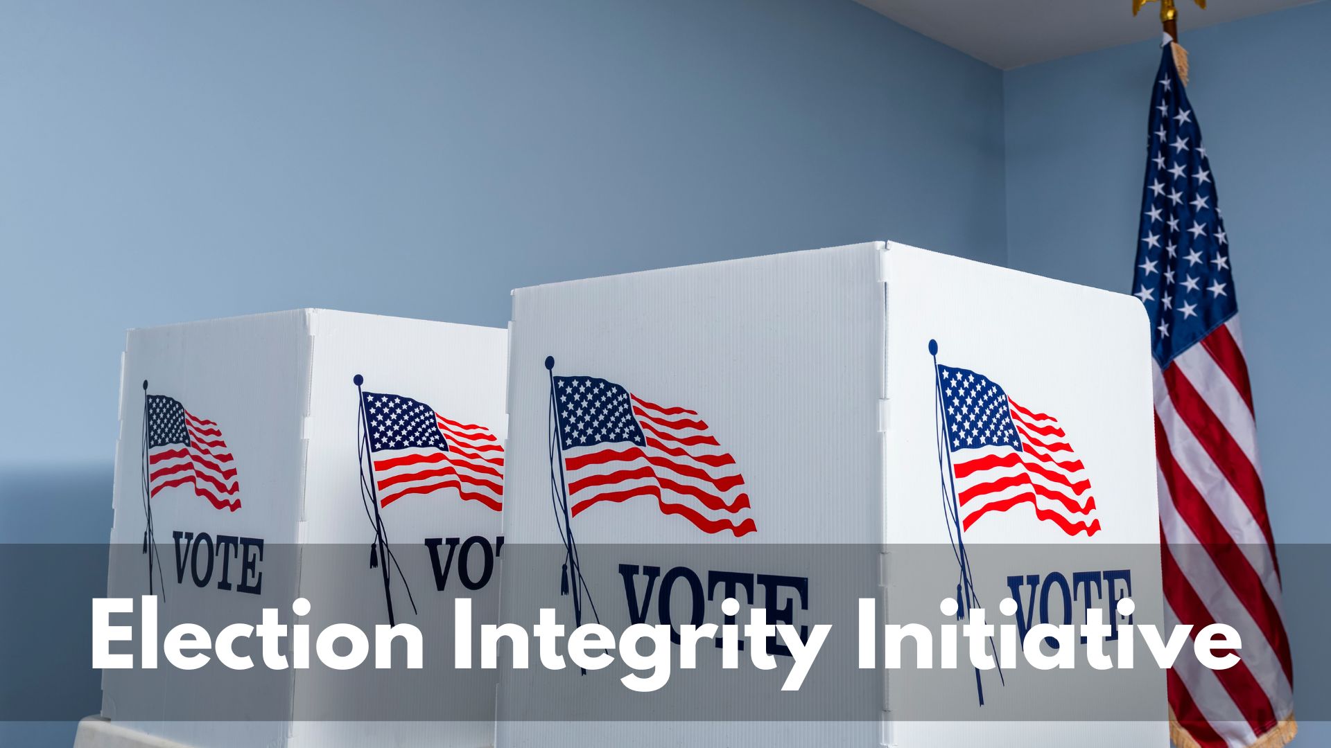 Election Integrity Initiative